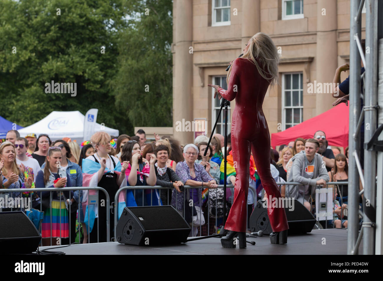Professional tribute act Liss Jones performing on stage at the 2018 ...