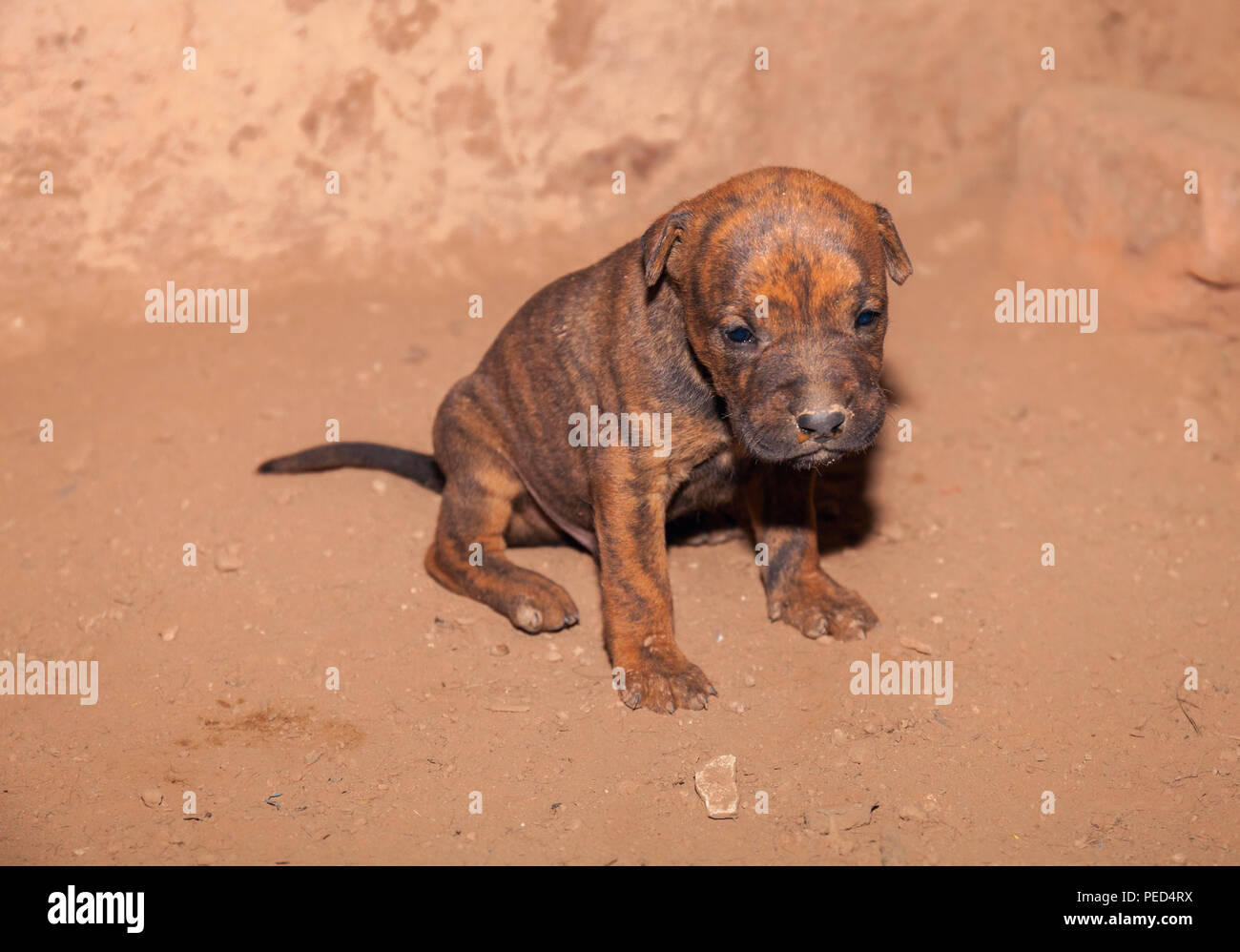 Baby with sad face hi-res stock photography and images - Alamy