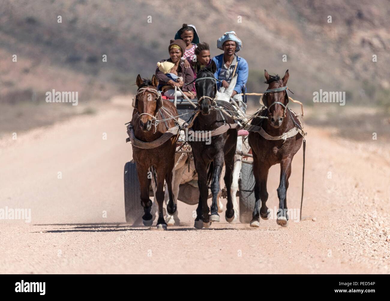 Kalahari ferrari hi-res stock photography and images - Alamy