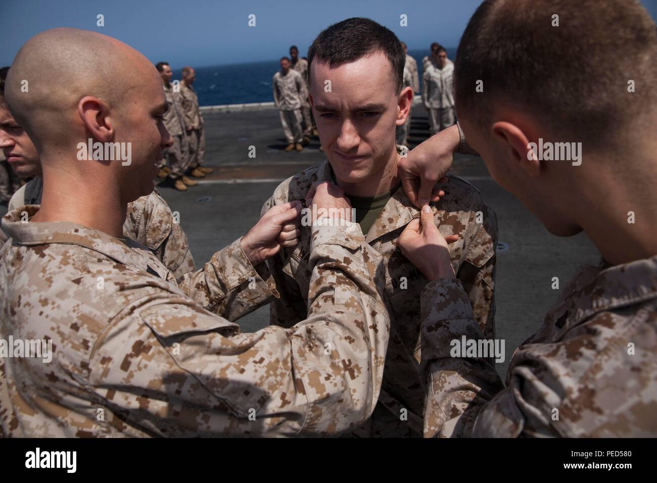 Anna Andrew Released High Resolution Stock Photography and Images - Alamy