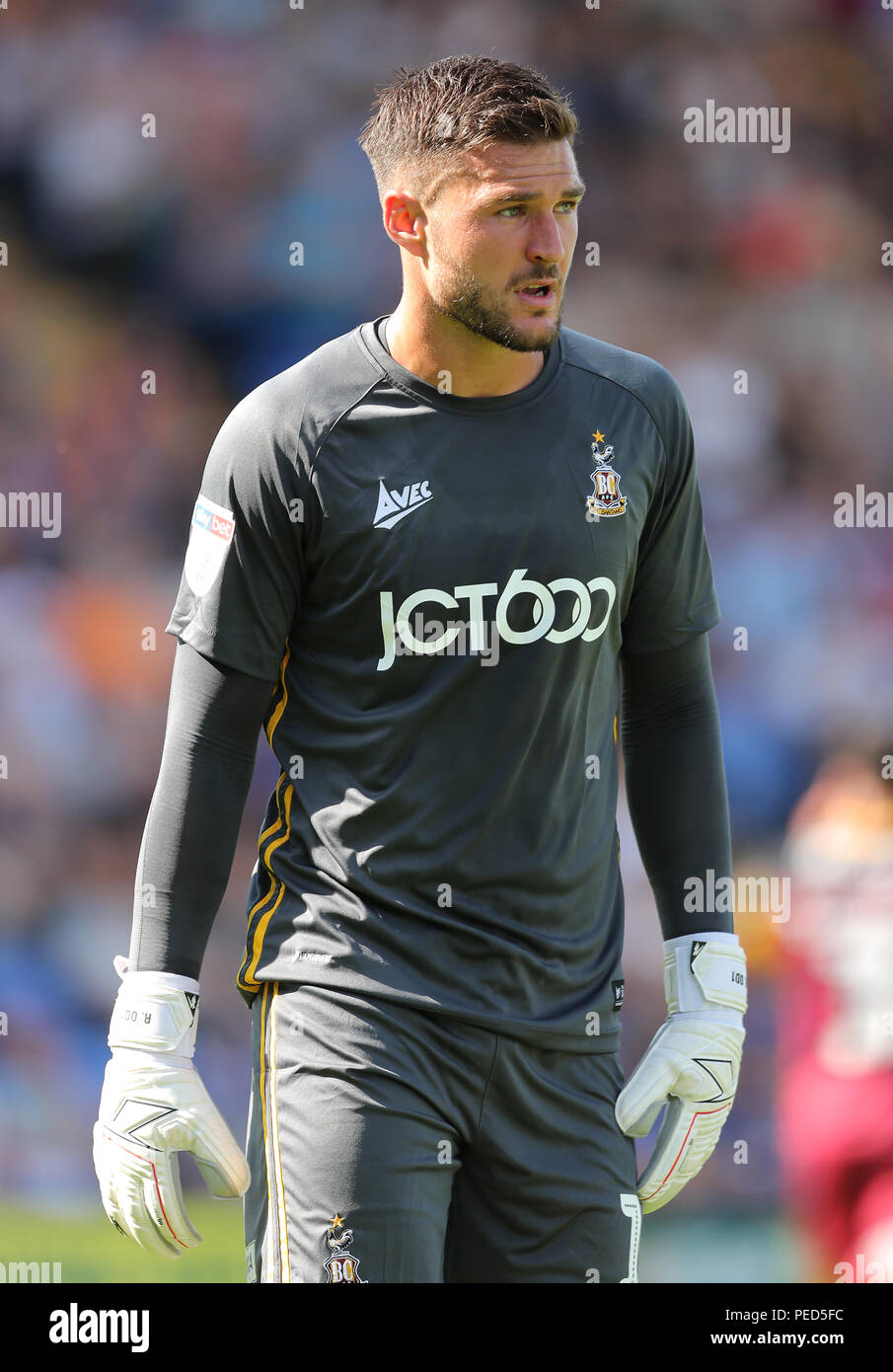 Bradford City goalkeeper Richard O'Donnell Stock Photo - Alamy