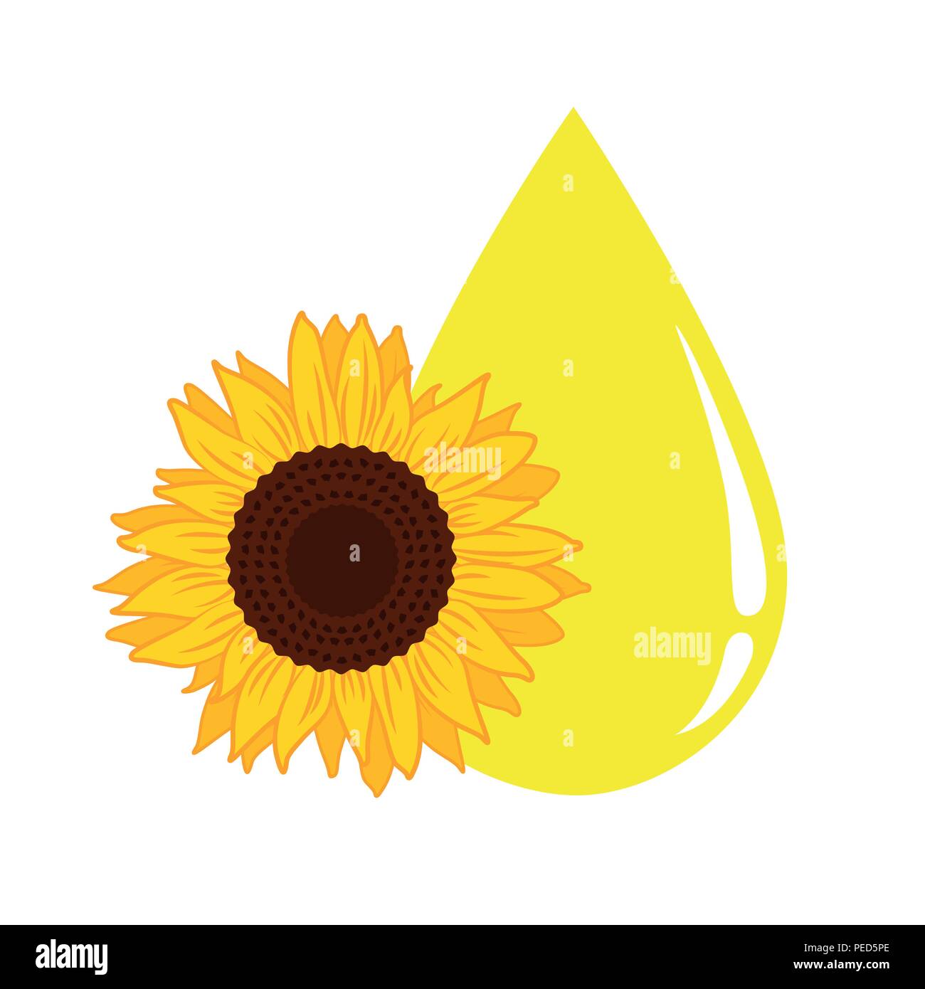 Sunflower oil Stock Vector Images - Alamy