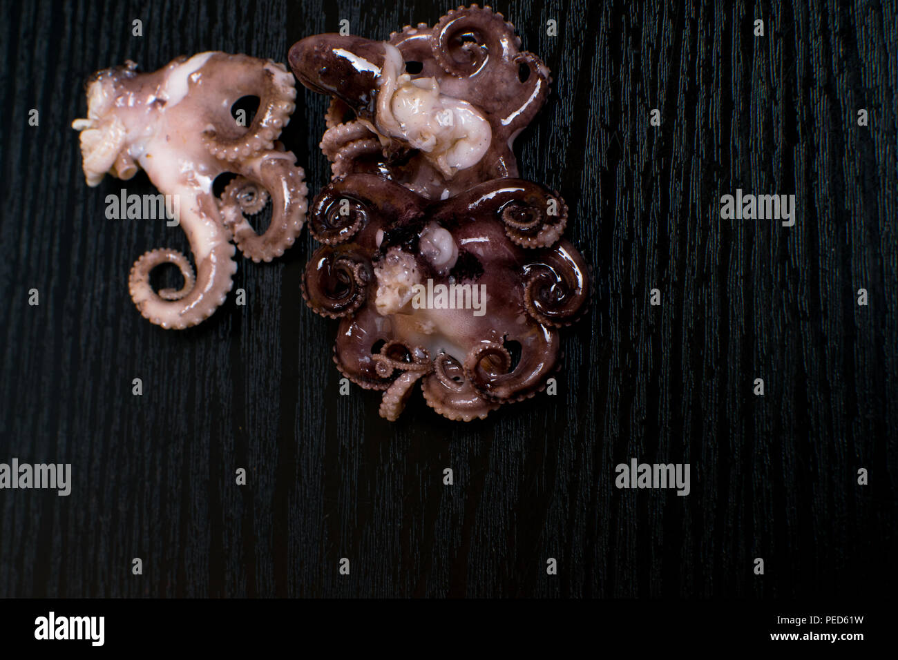 Raw octopus in oil isolated on black table, ready to eat. Seafood. Top ...
