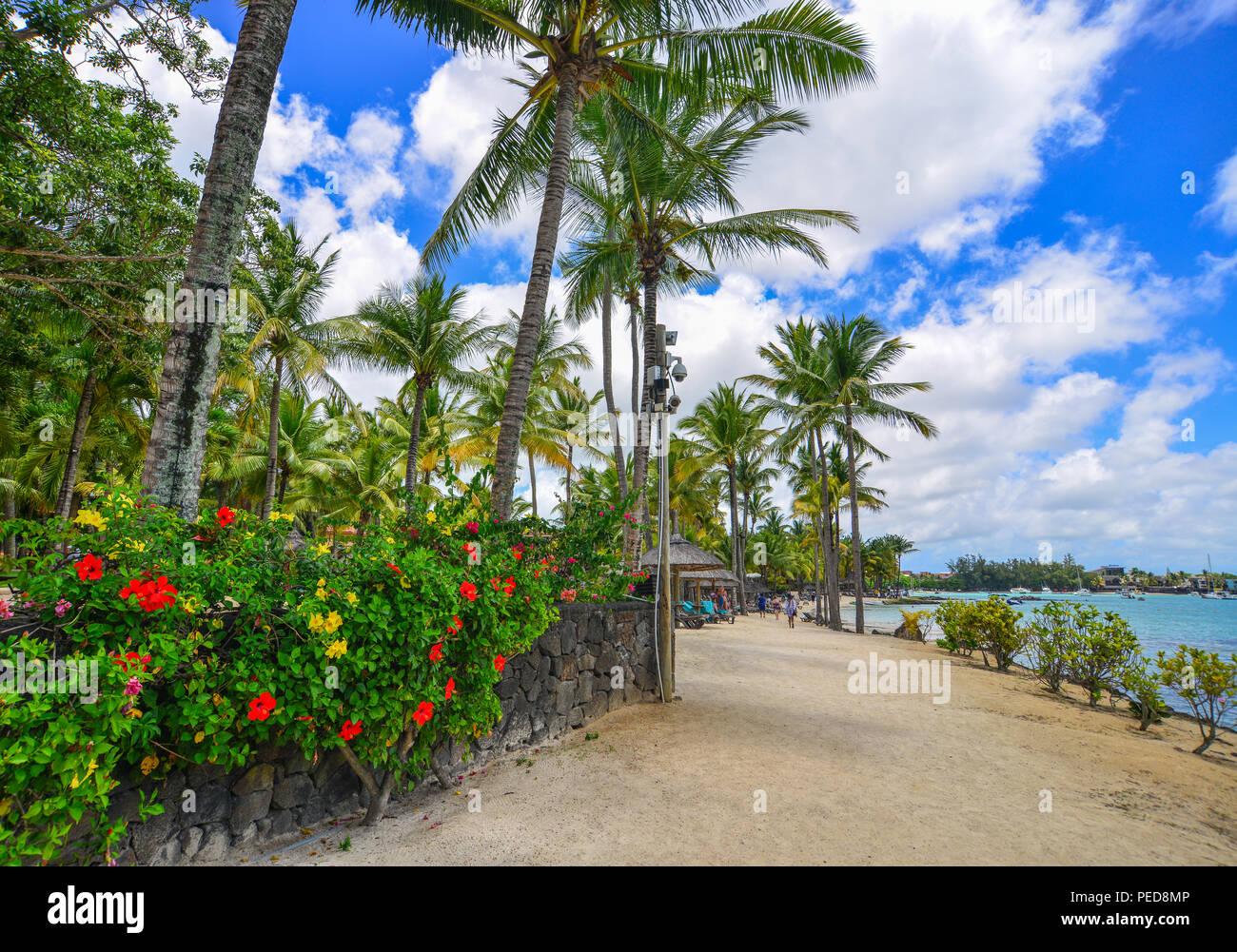 Coastal road mauritius hi-res stock photography and images - Alamy