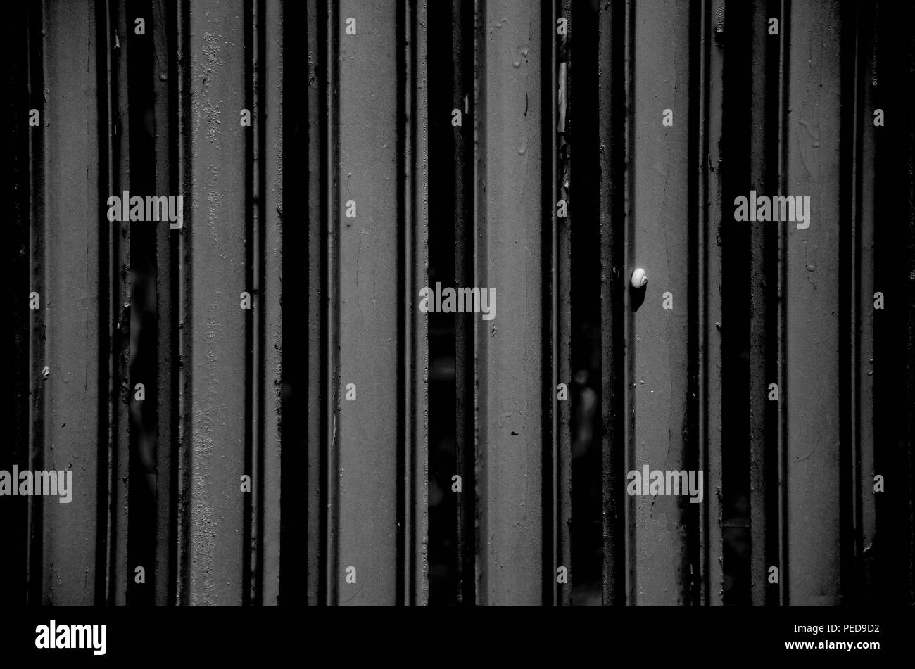 Wallpaper wall Black and White Stock Photos & Images - Alamy