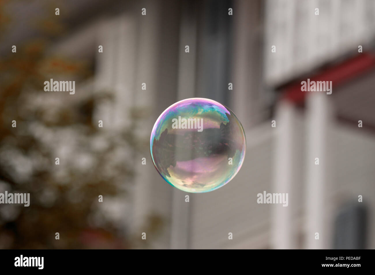 Single soap bubble against bright background Stock Photo - Alamy