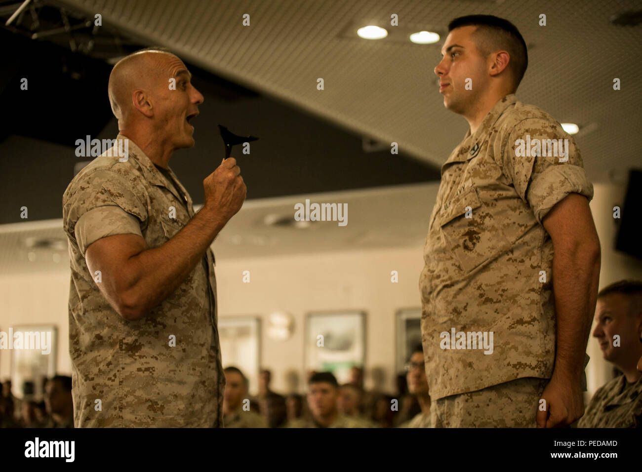 Master mateo hi-res stock photography and images - Alamy