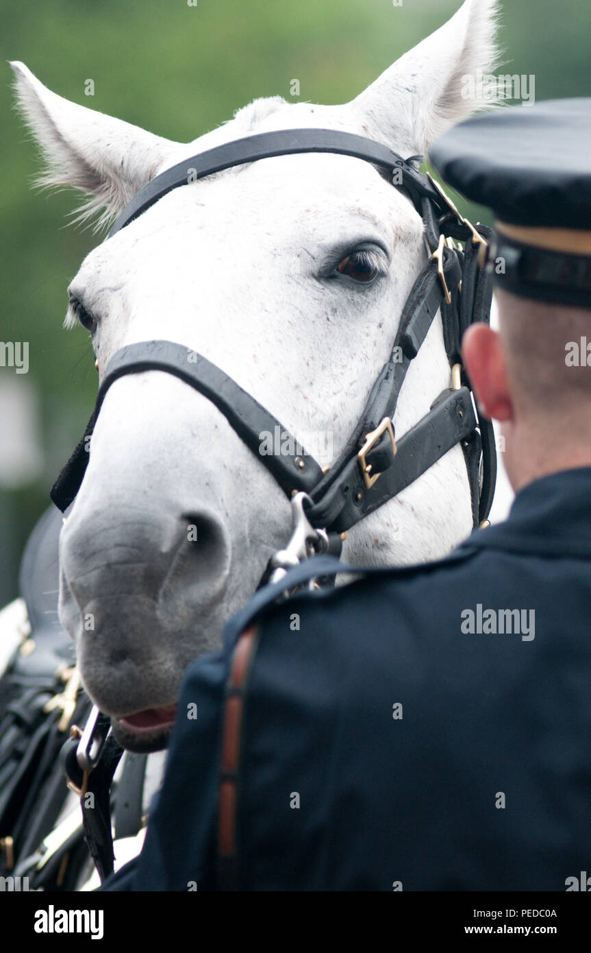 3d united states infantry regiement hi-res stock photography and images ...