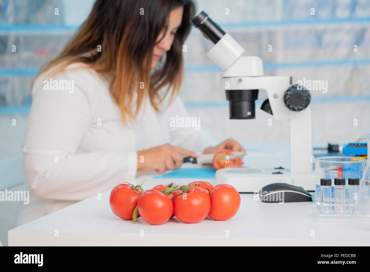 Checking fruit and vegetables for harmful elements. Laboratory for ...