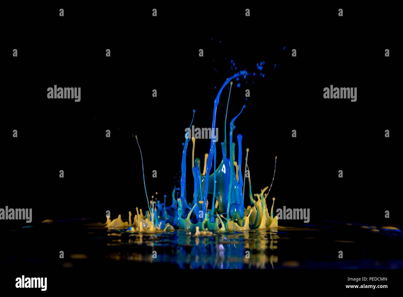 Abstract sculptures of colorful splashes of paint. Dancing liquid on a ...