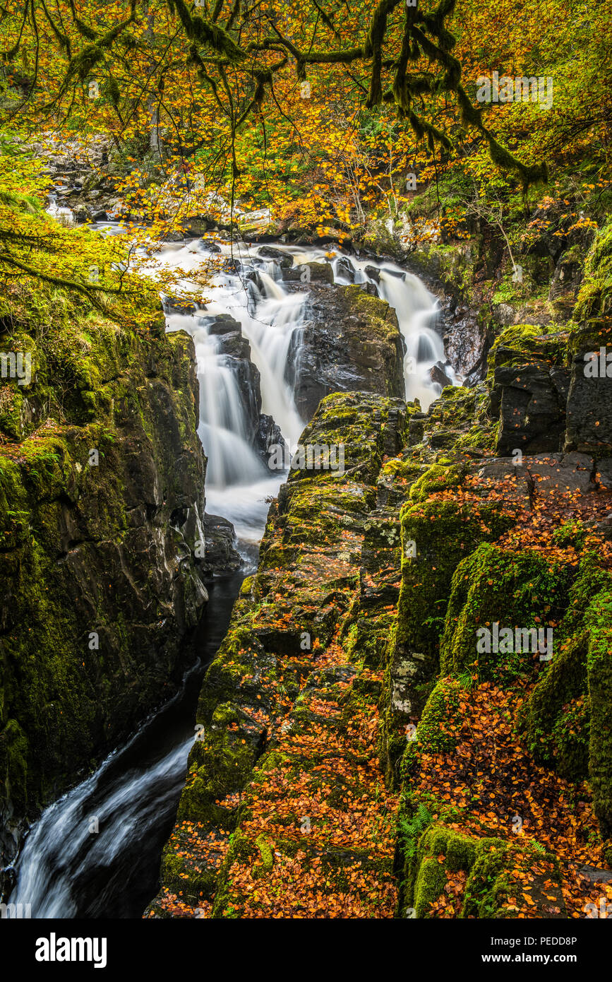 Dunkeld hermitage hi-res stock photography and images - Alamy