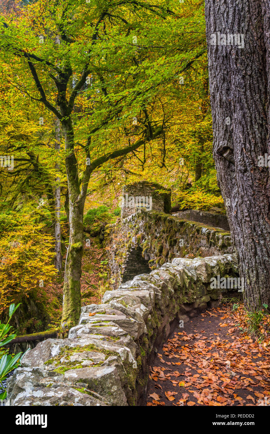 Old stone bridge in scotland hi-res stock photography and images - Alamy