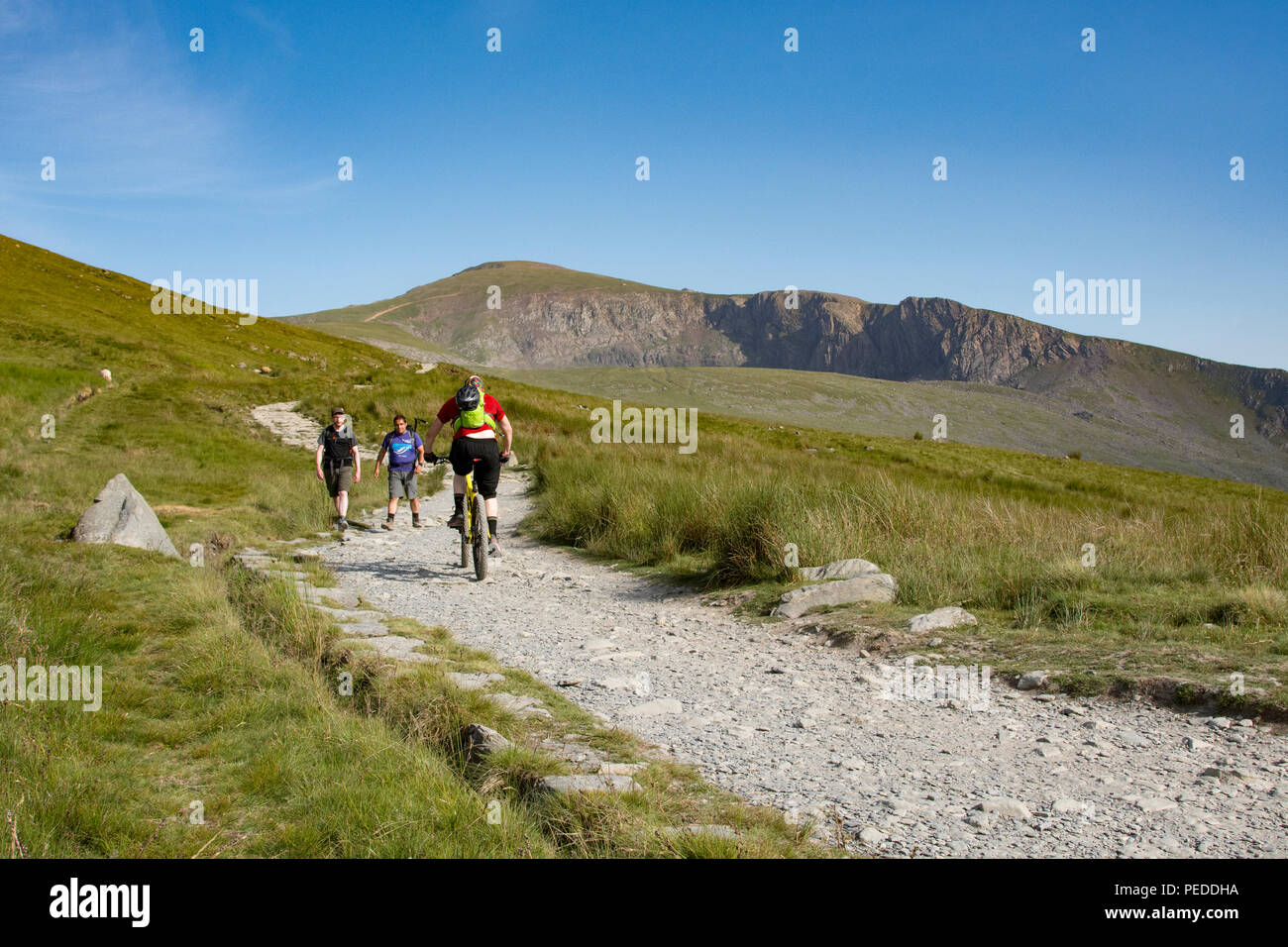 Mountain biker cycling up the Llanberis Path heading for the summit of ...
