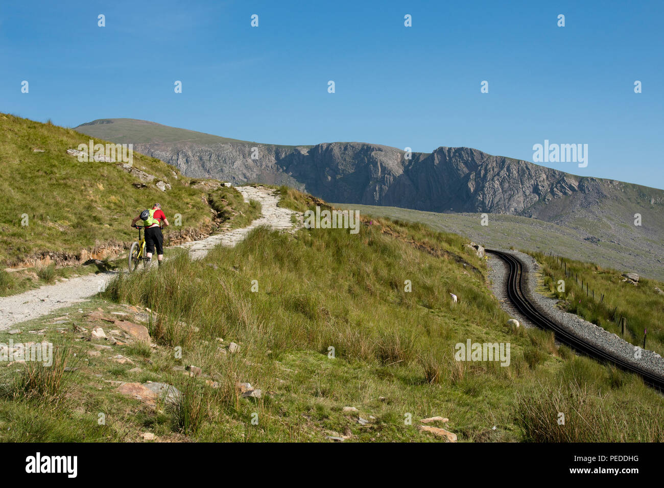 Mountain biker cycling up the Llanberis Path heading for the summit of ...