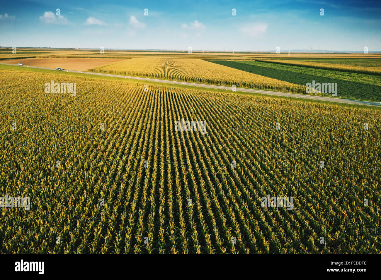 Corn field landscape hi-res stock photography and images - Alamy