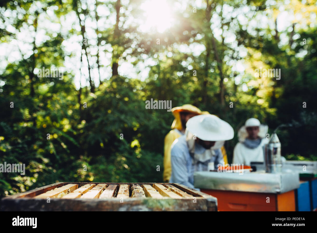 Beekeepers hobby honey hi-res stock photography and images - Alamy