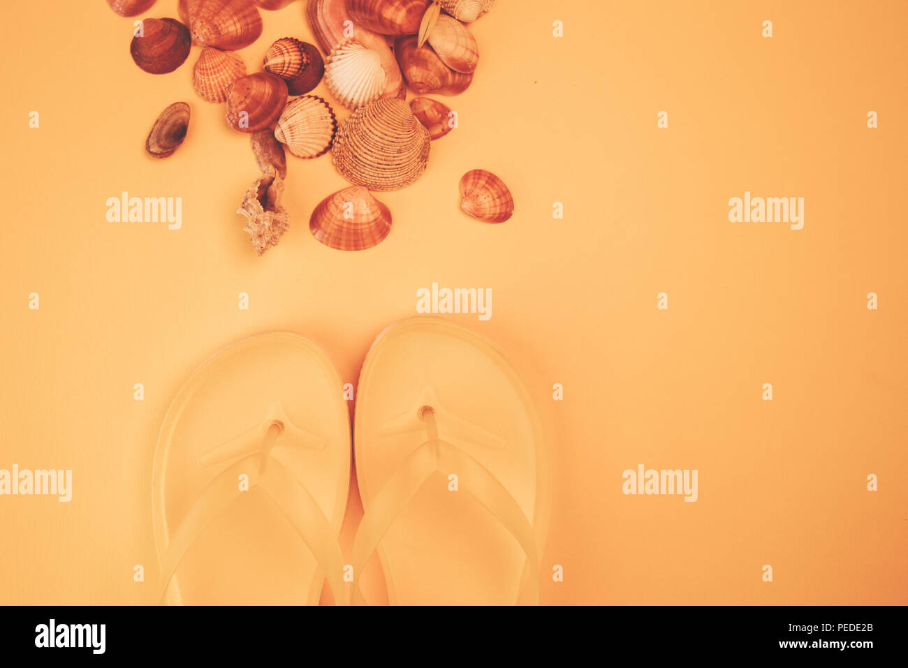 Flat top shells hi-res stock photography and images - Alamy