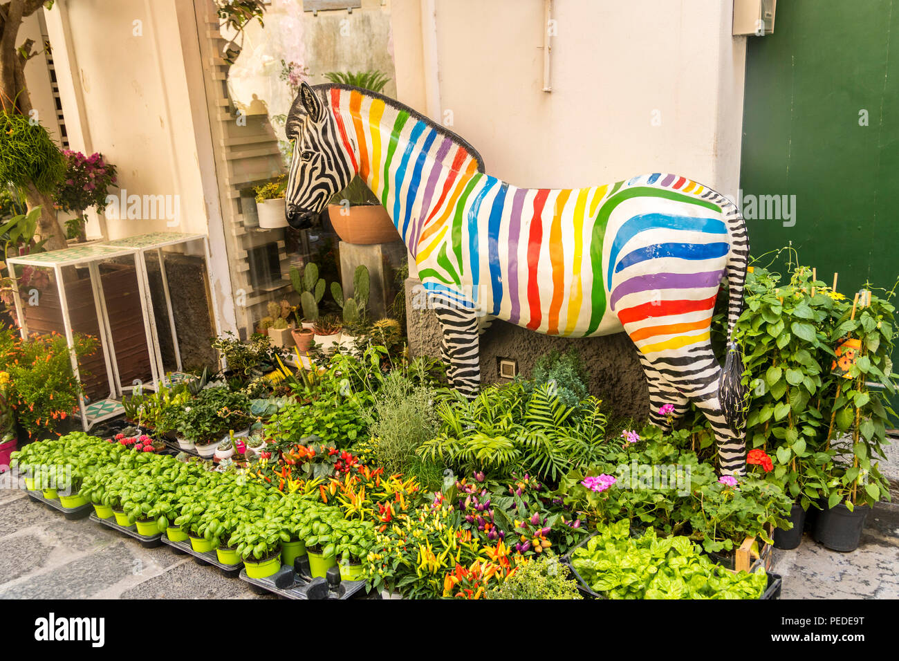 Lifesize zebra statue hi-res stock photography and images - Alamy