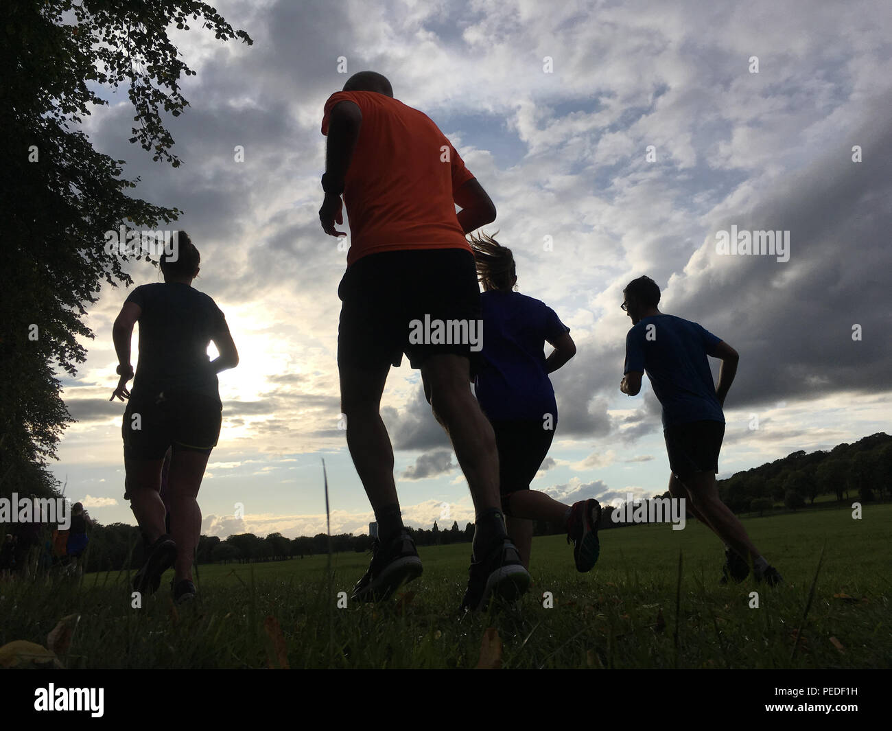 Runners in a park, Glasgow, Scotland, UK Stock Photo - Alamy