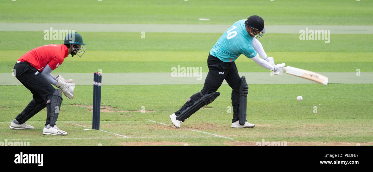 Green king ipa hi-res stock photography and images - Alamy