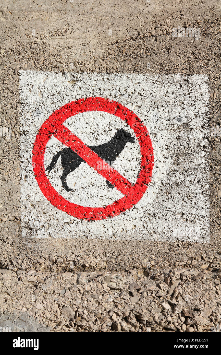 No dogs allowed - anti-canine sign painted on a concrete wall Stock ...