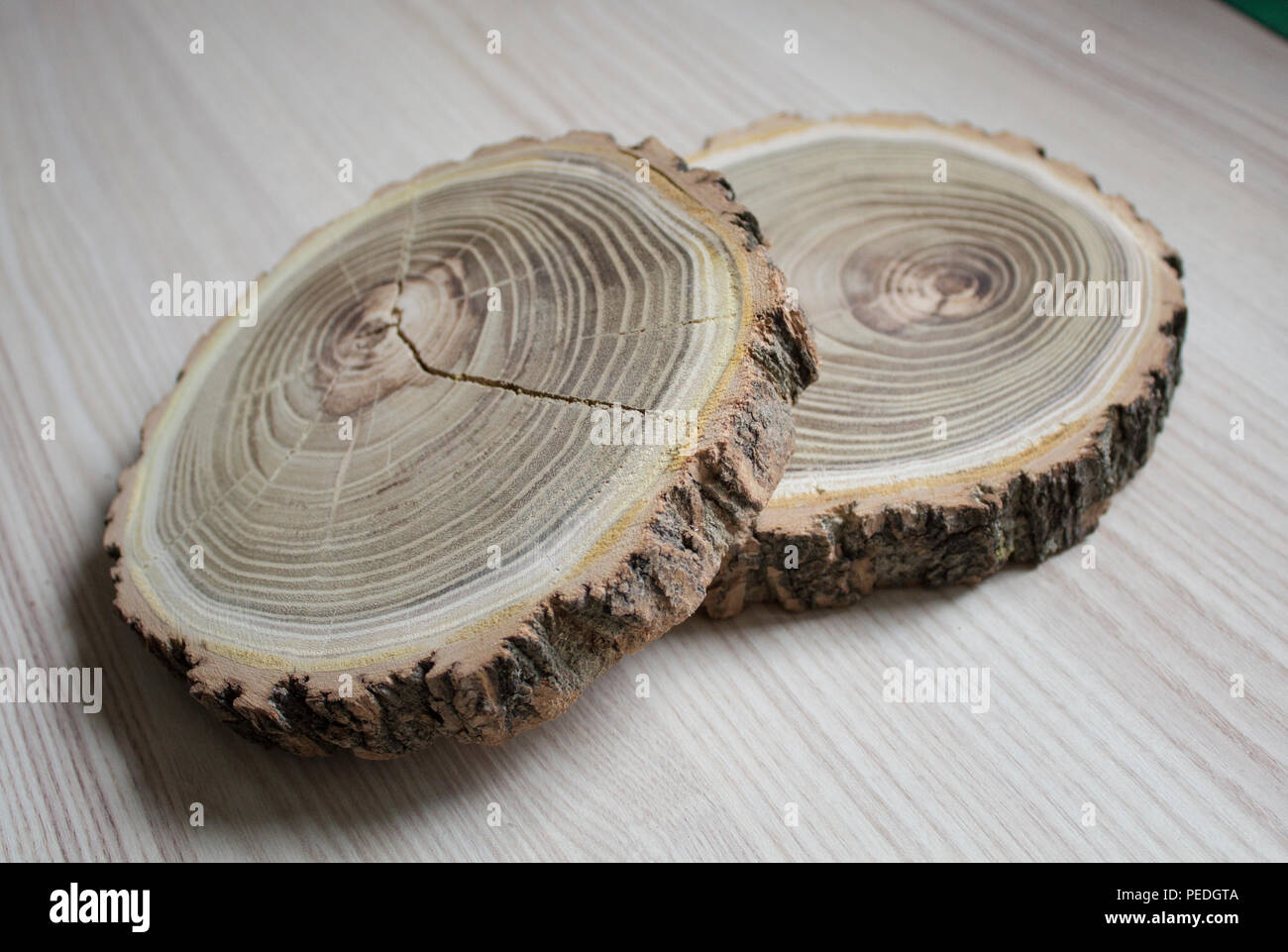 Cross section of the tree, decor element Stock Photo - Alamy