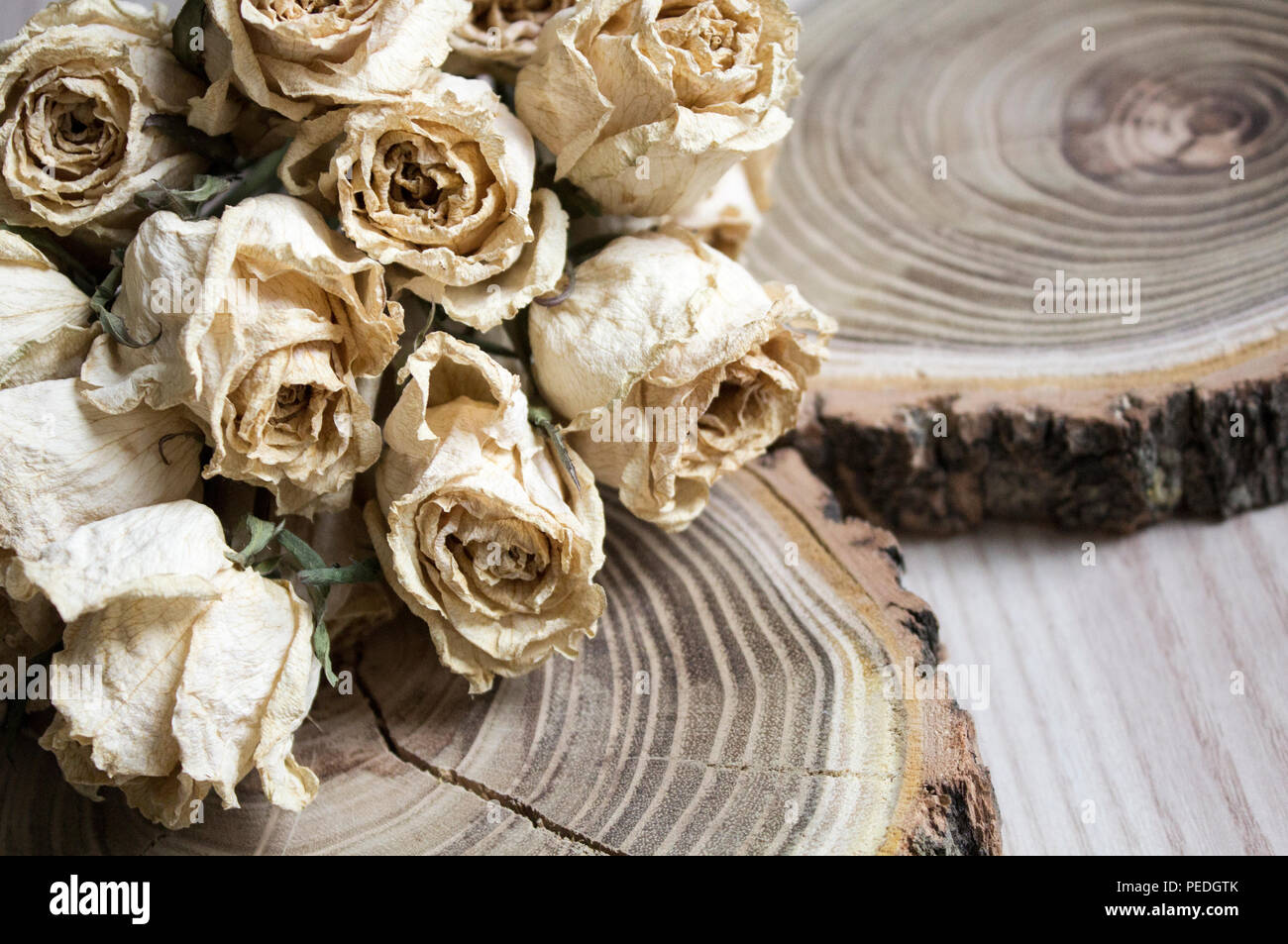 The cut wood with dried roses; dry roses on a cut tree. Vintage ...
