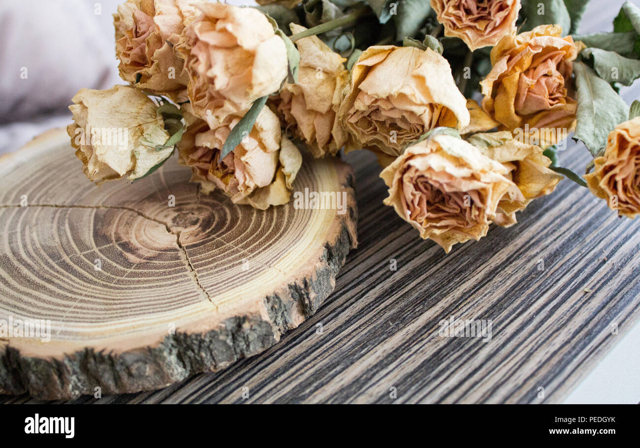 The cut wood with dried roses; dry roses on a cut tree. Vintage ...