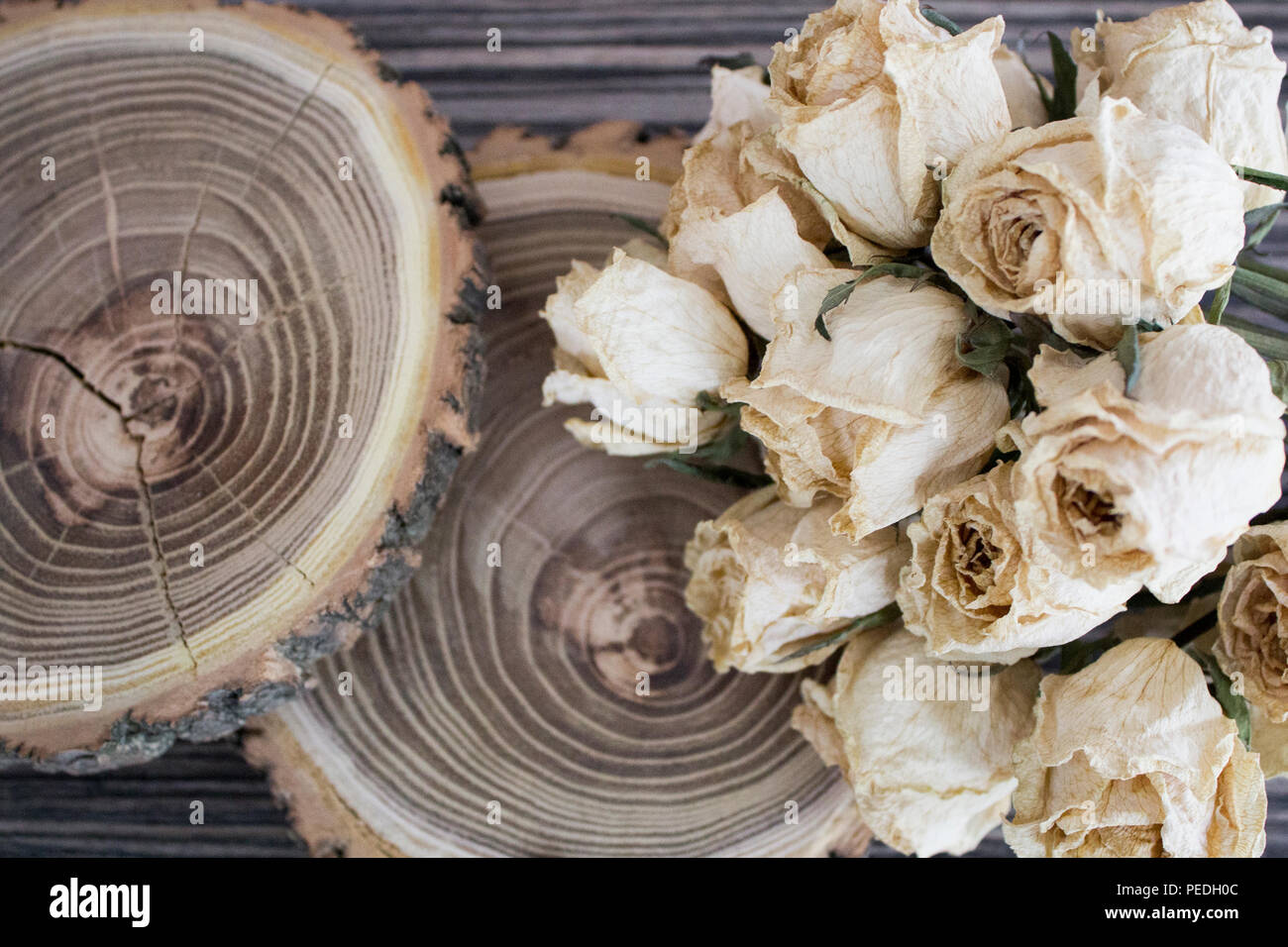 The cut wood with dried roses; dry roses on a cut tree. Vintage ...