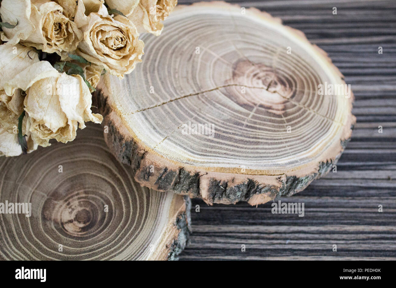 The cut wood with dried roses; dry roses on a cut tree. Vintage ...