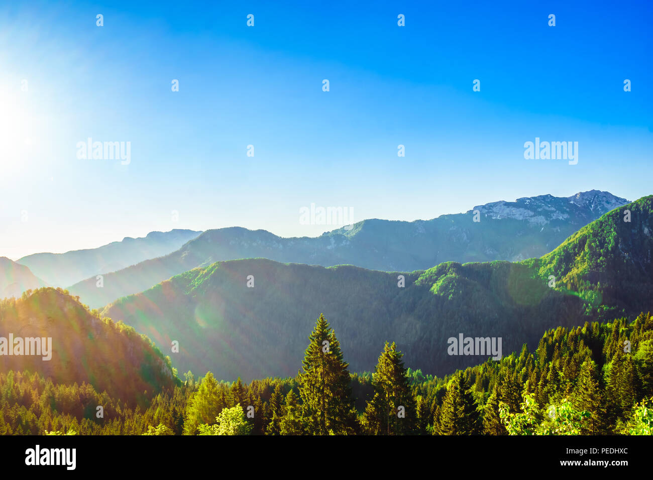 View on Sun over forest in the slovenian Alps Stock Photo - Alamy