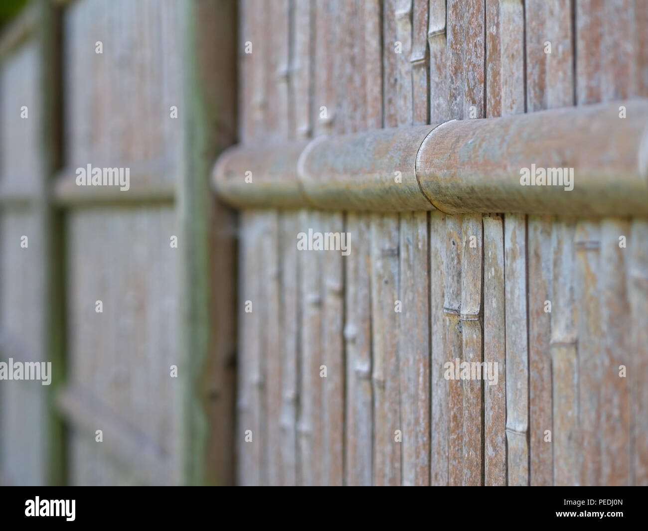 Perspective view of Japanese bamboo palisade. Portrait view Stock Photo ...
