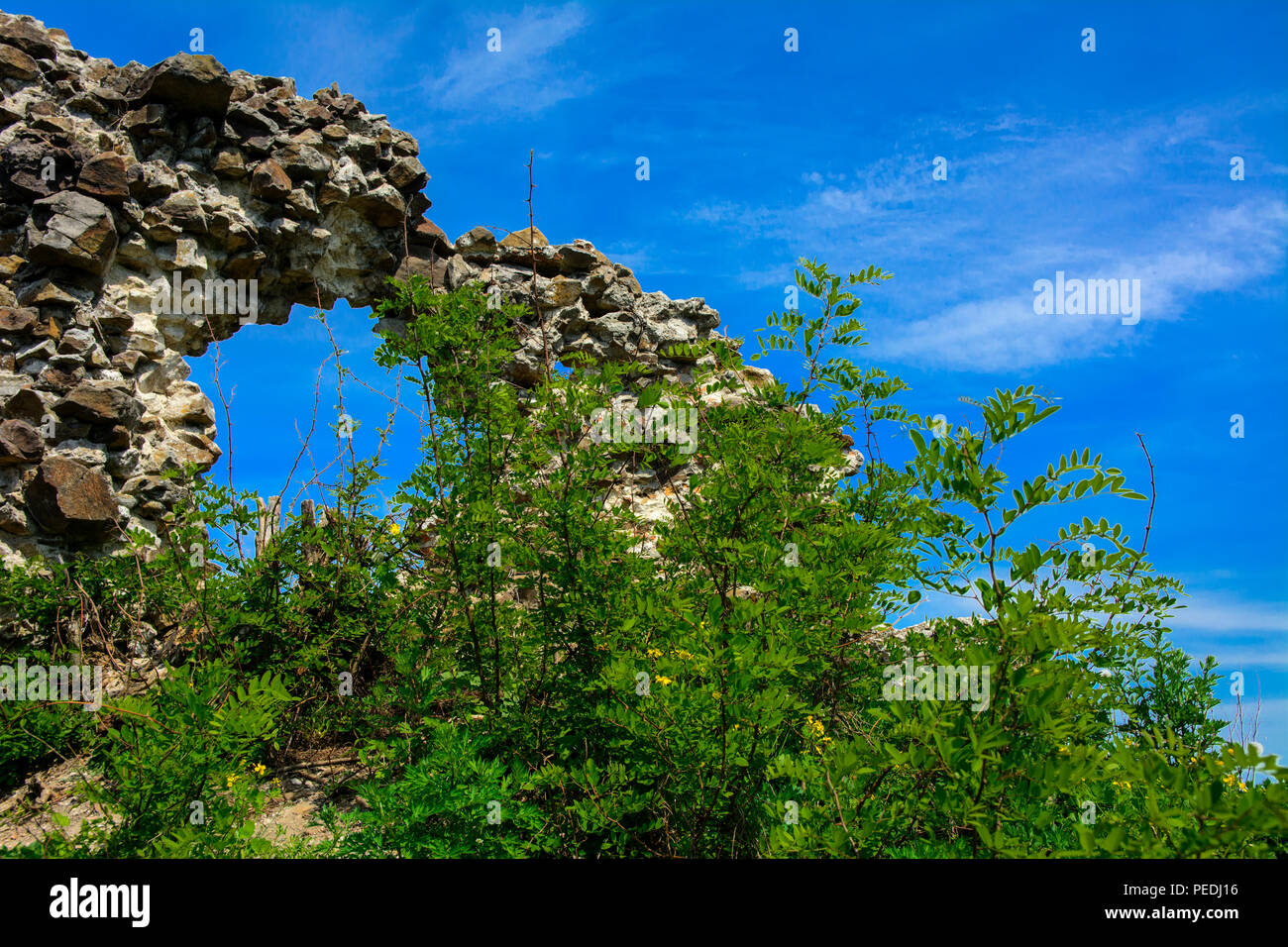 Ancient ruins of the castle of the town of Khust (Dracula Castle). a ...