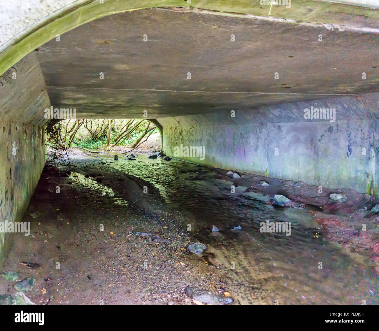 A stream flows under a roadway bridge at Dash Point, Washington Stock ...