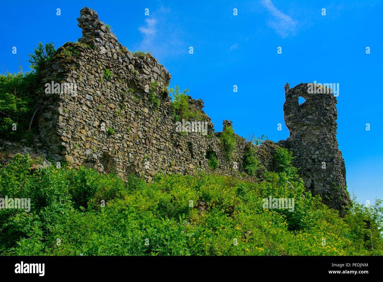 Ancient ruins of the castle of the town of Khust (Dracula Castle). a ...