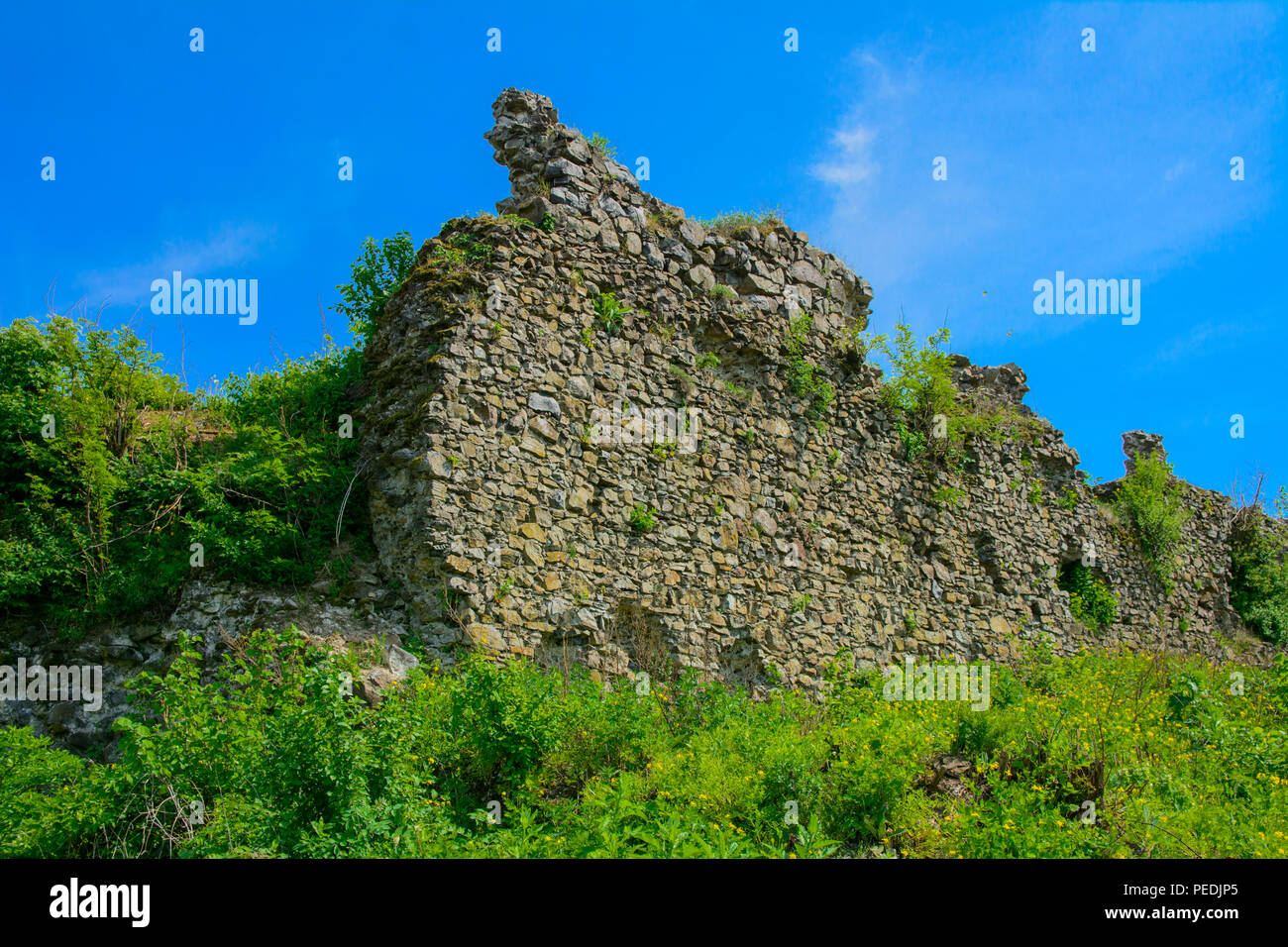 Ancient ruins of the castle of the town of Khust (Dracula Castle). a ...