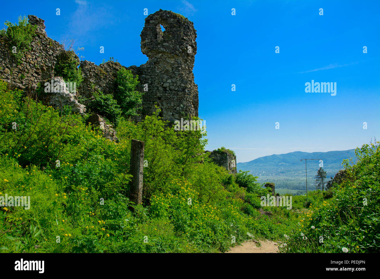 Ancient ruins of the castle of the town of Khust (Dracula Castle). a ...