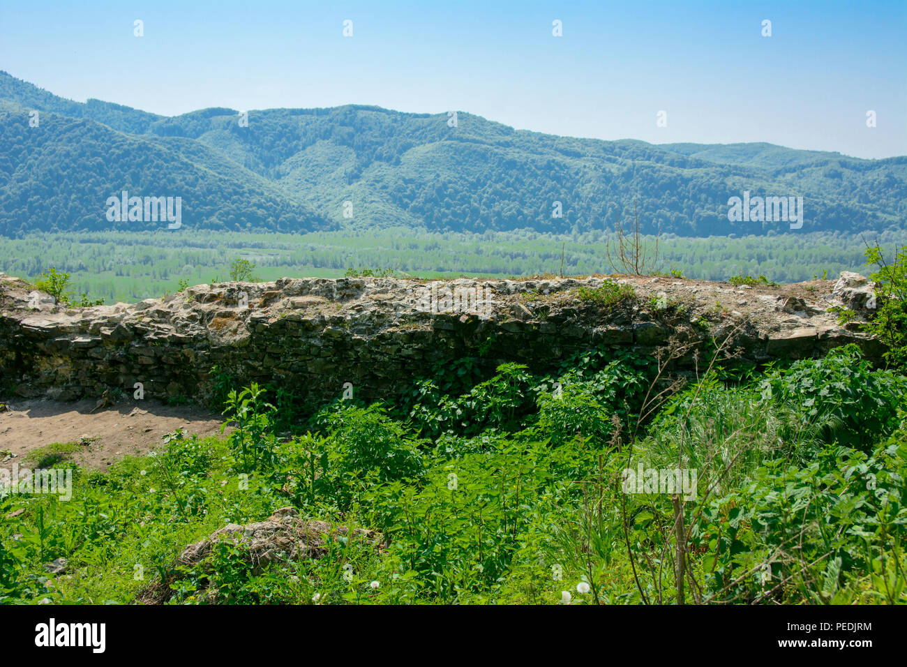 Ancient ruins of the castle of the town of Khust (Dracula Castle). a ...