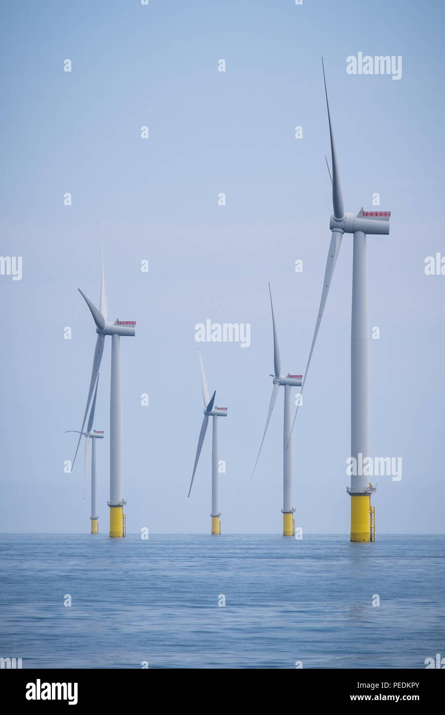 The 6MW Siemens SWT-6.0-154 wind turbines on the Race Bank Offshore ...