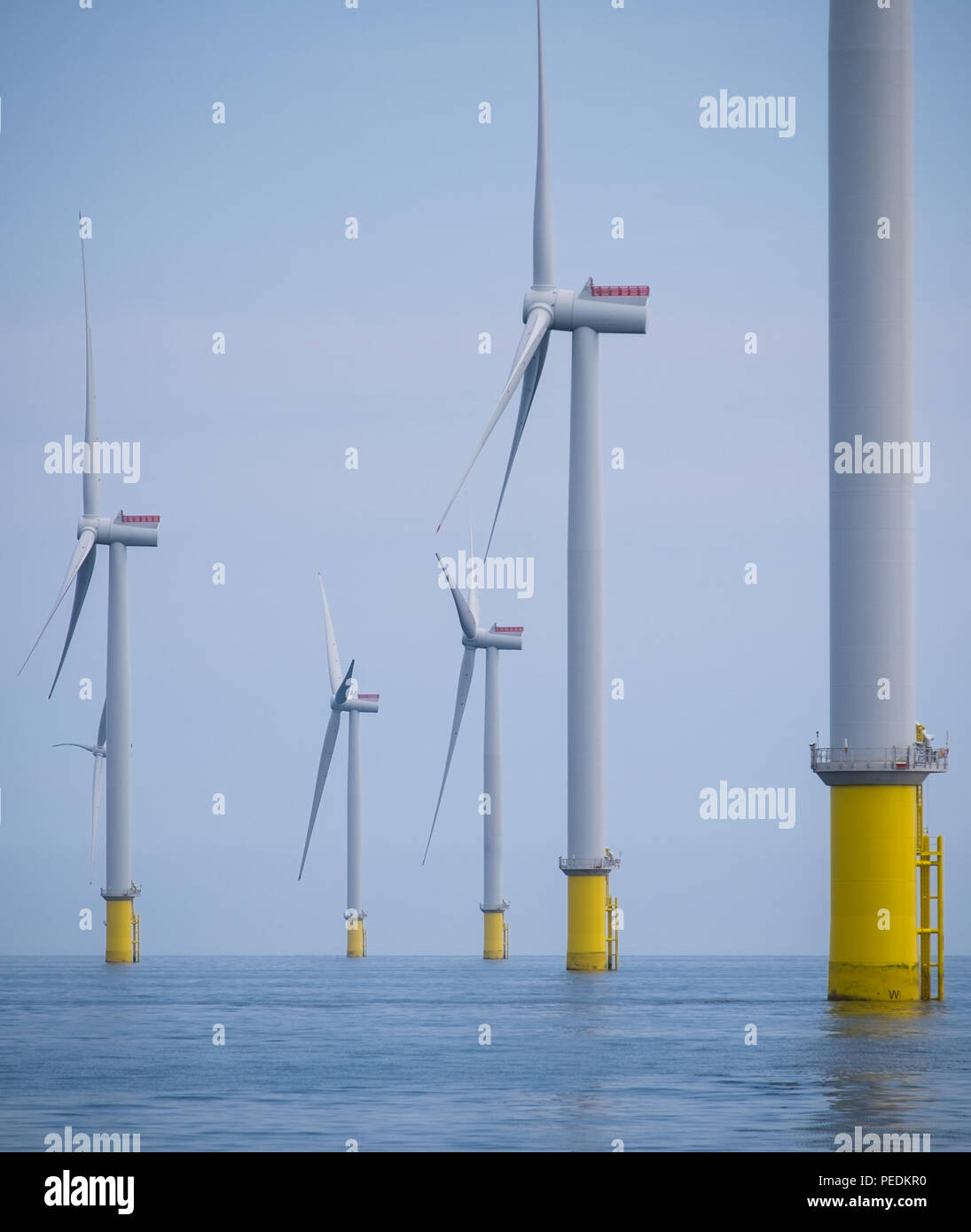 The 6MW Siemens SWT-6.0-154 wind turbines on the Race Bank Offshore ...