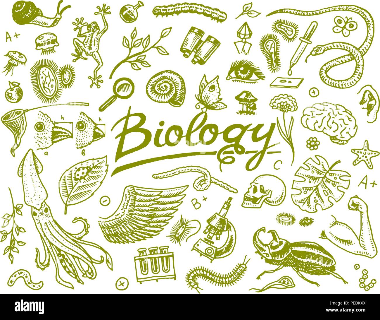 Scientific laboratory in Biology. Icon Set of Biochemistry Research ...