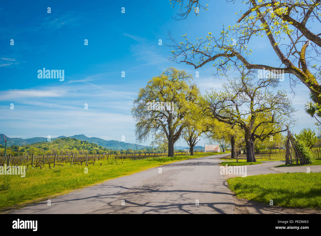 American tradicional landscape in countryside Stock Photo - Alamy