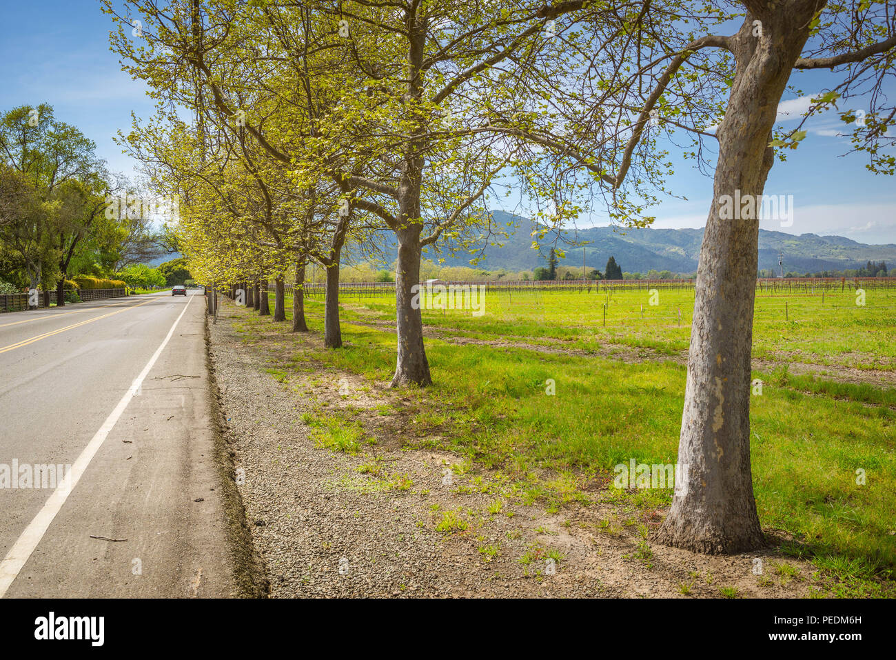 American tradicional landscape in countryside Napa Valley, Sonoma, EUA ...