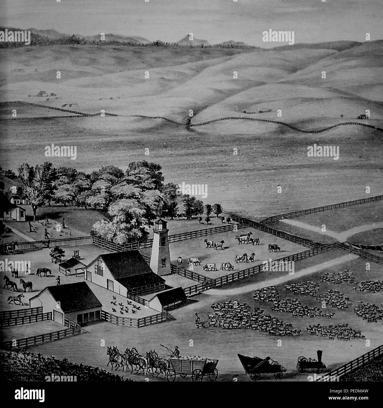 Cattle farmstead Black and White Stock Photos & Images - Alamy