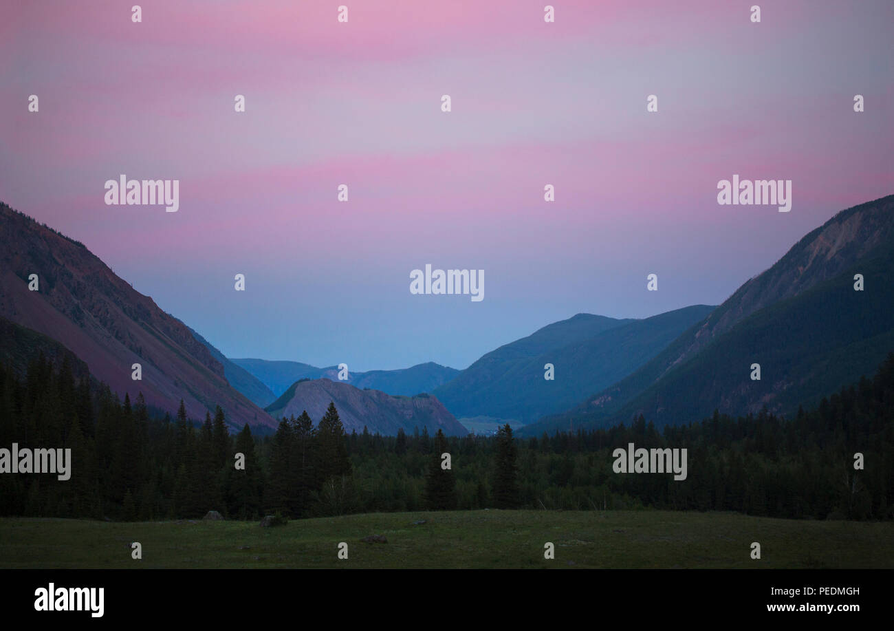 Pink sunset in the mountains and pine forest Stock Photo - Alamy
