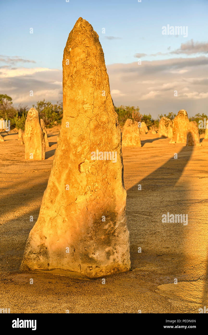 Pinnacles in yellow desert sand hi-res stock photography and images - Alamy
