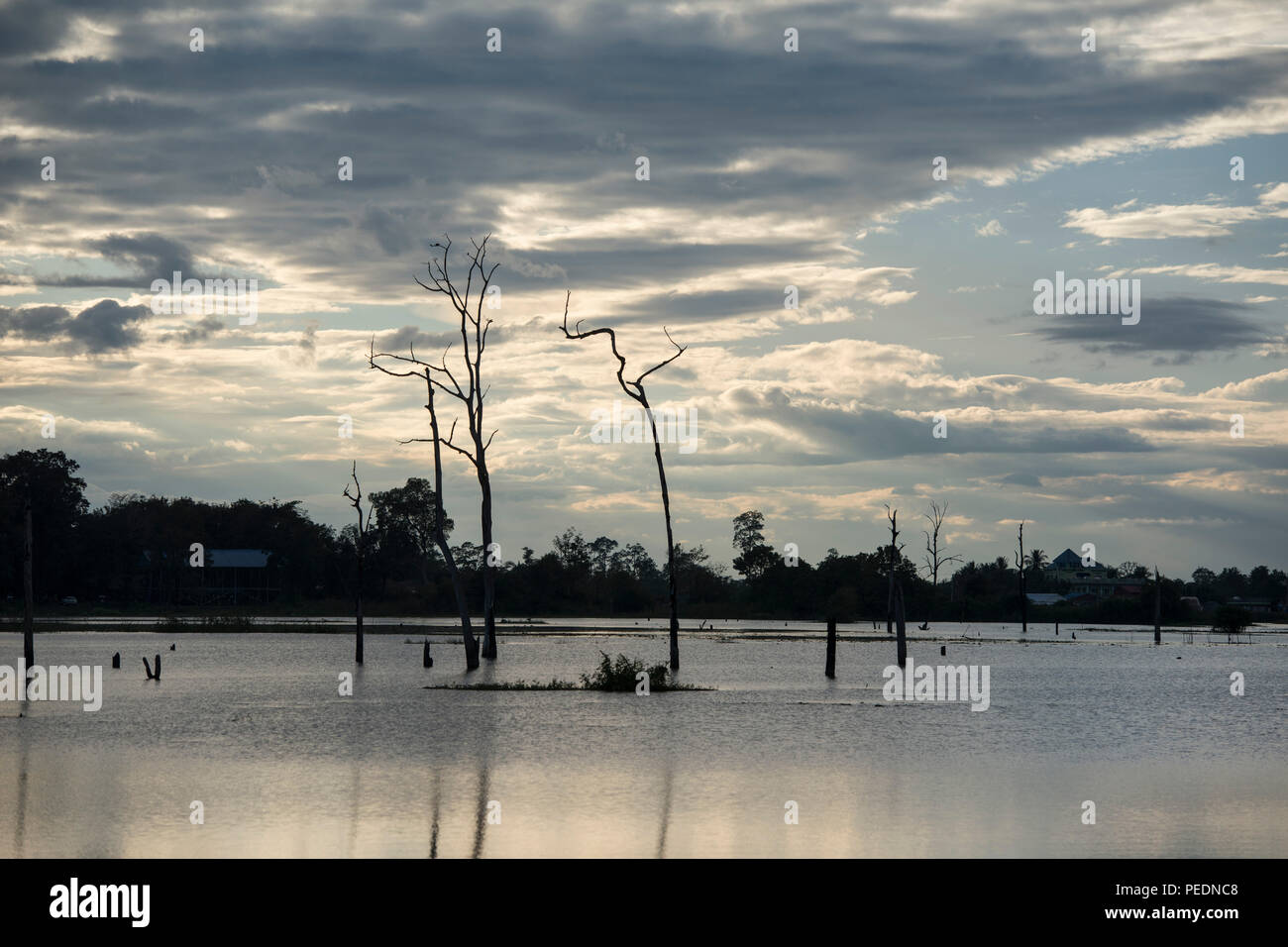 the Ta Mok Lake at the Town of Anlong Veng in the province of Oddar ...