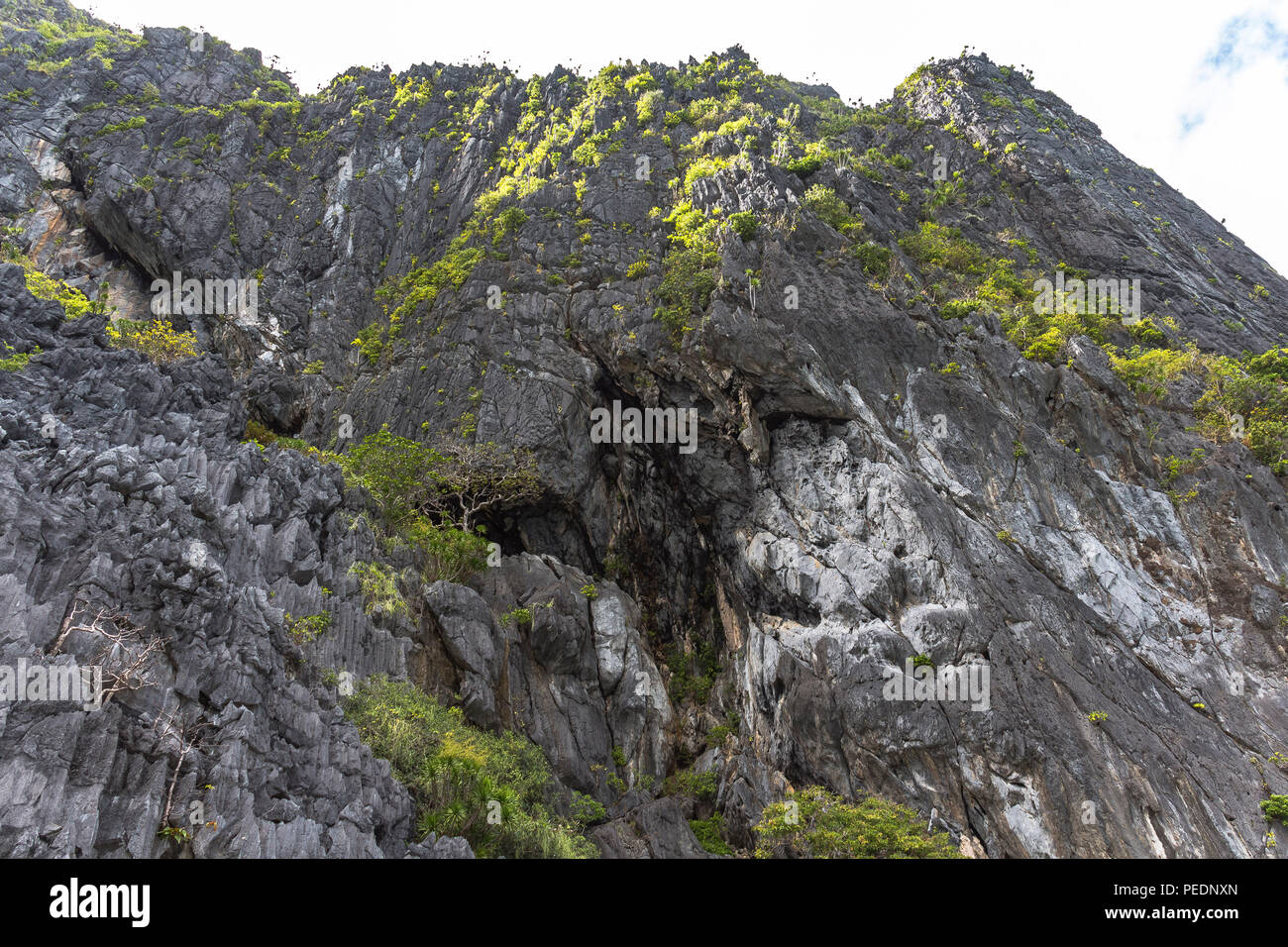 High limestone and karst rocks in philippines Stock Photo - Alamy