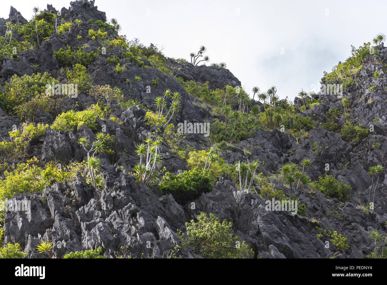 High limestone and karst rocks in philippines Stock Photo - Alamy