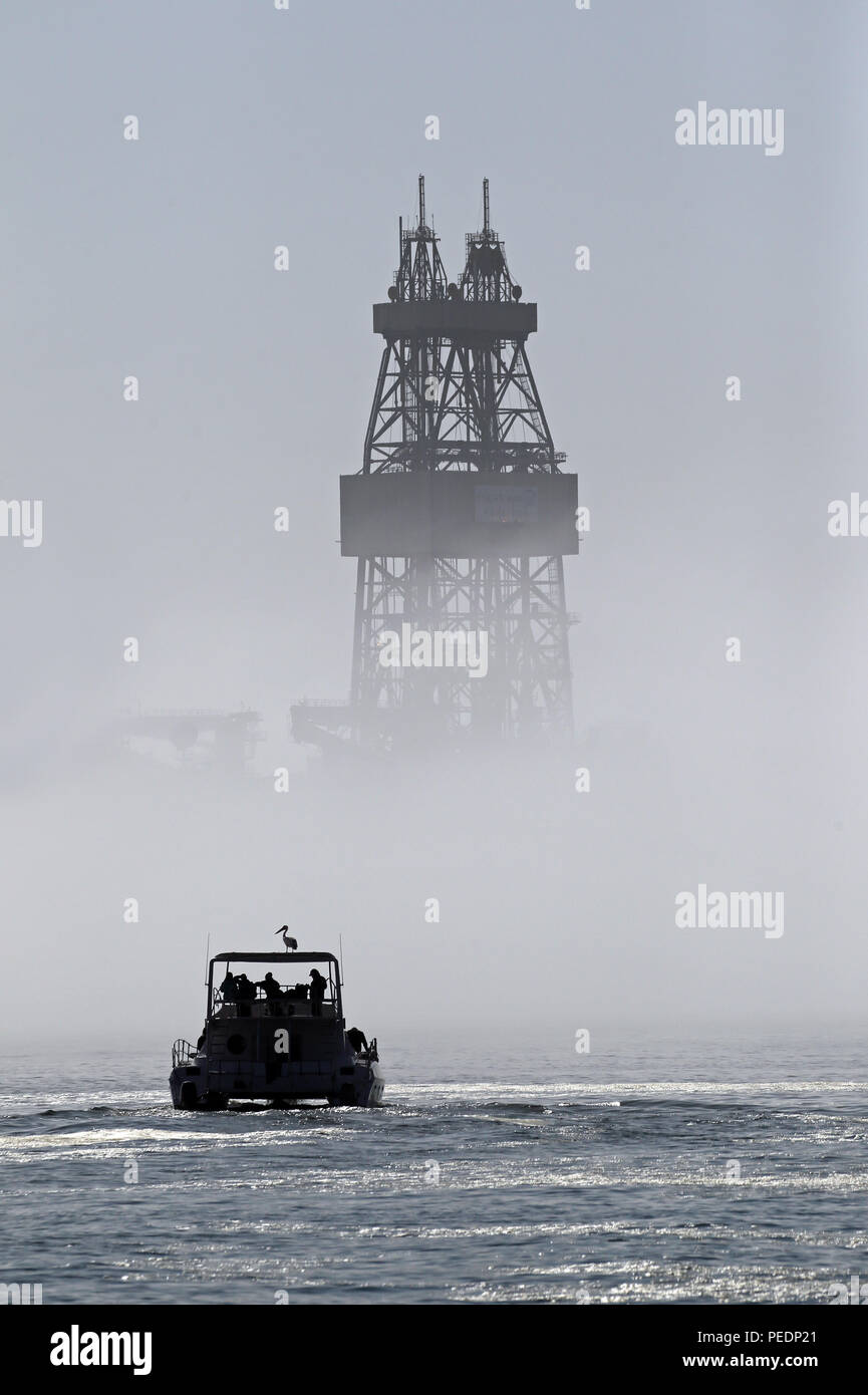 Monochrome image of a great white pelican on a tourist boat off Walvis ...